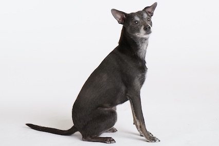 errors.noPage.unavailable