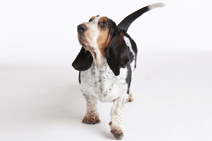 errors.noPage.unavailable