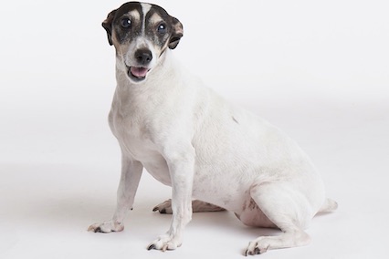 errors.noPage.unavailable